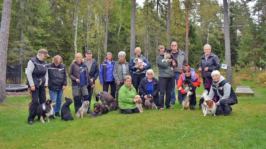 Om NLKK – Norrtälje Lokala Kennelklubb