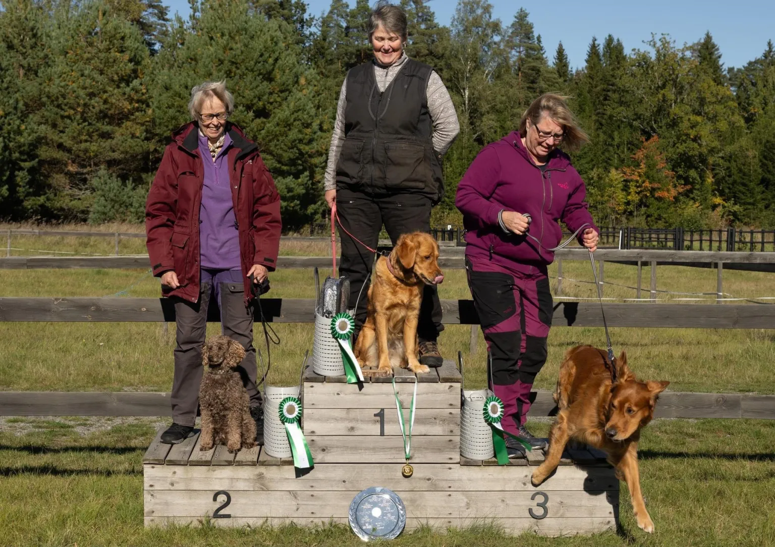 Tävlingar/Prov – Norrtälje Lokala Kennelklubb